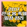 3월 축제 가볼만한 곳 전국 4월 축제 일정표 죽기전에 꼭 가봐야 할 여행지 가볼만한 곳 베스트 10 축제